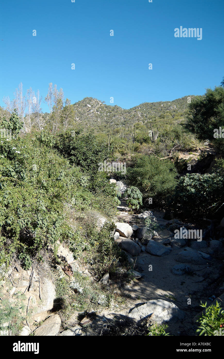 Landscape in Baja California Stock Photo - Alamy