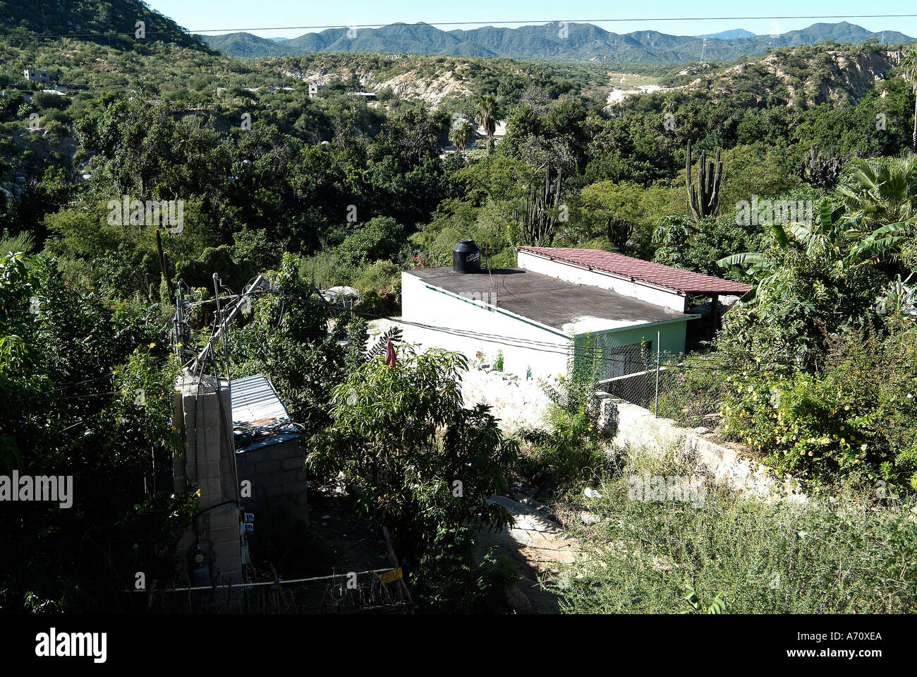Landscape in Baja California Stock Photo - Alamy