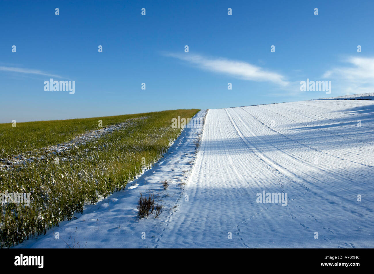 Snow-covered fields on a hill in winter Stock Photo - Alamy