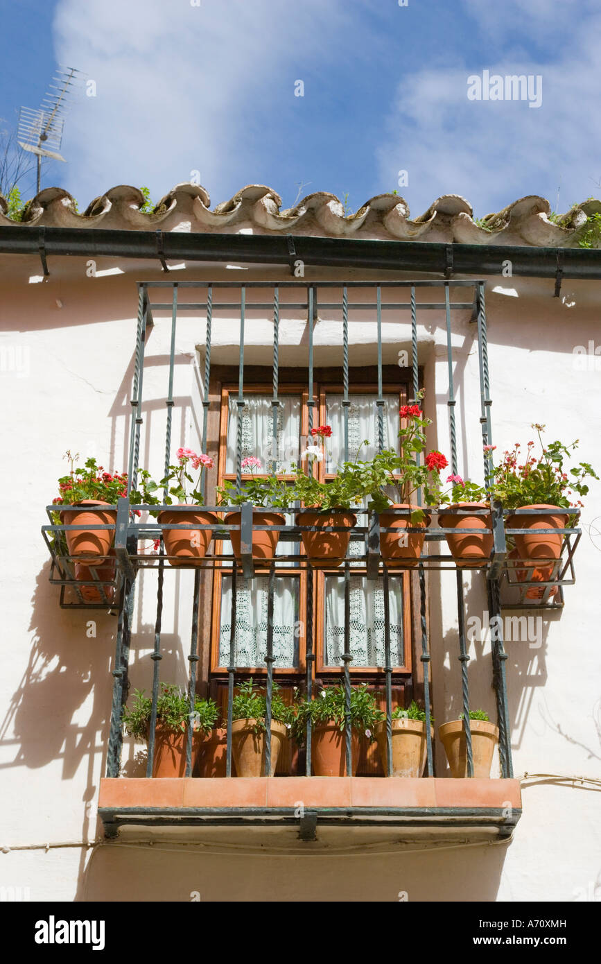 Seville Seville Province Spain Detail of typical flower bedecked window ...