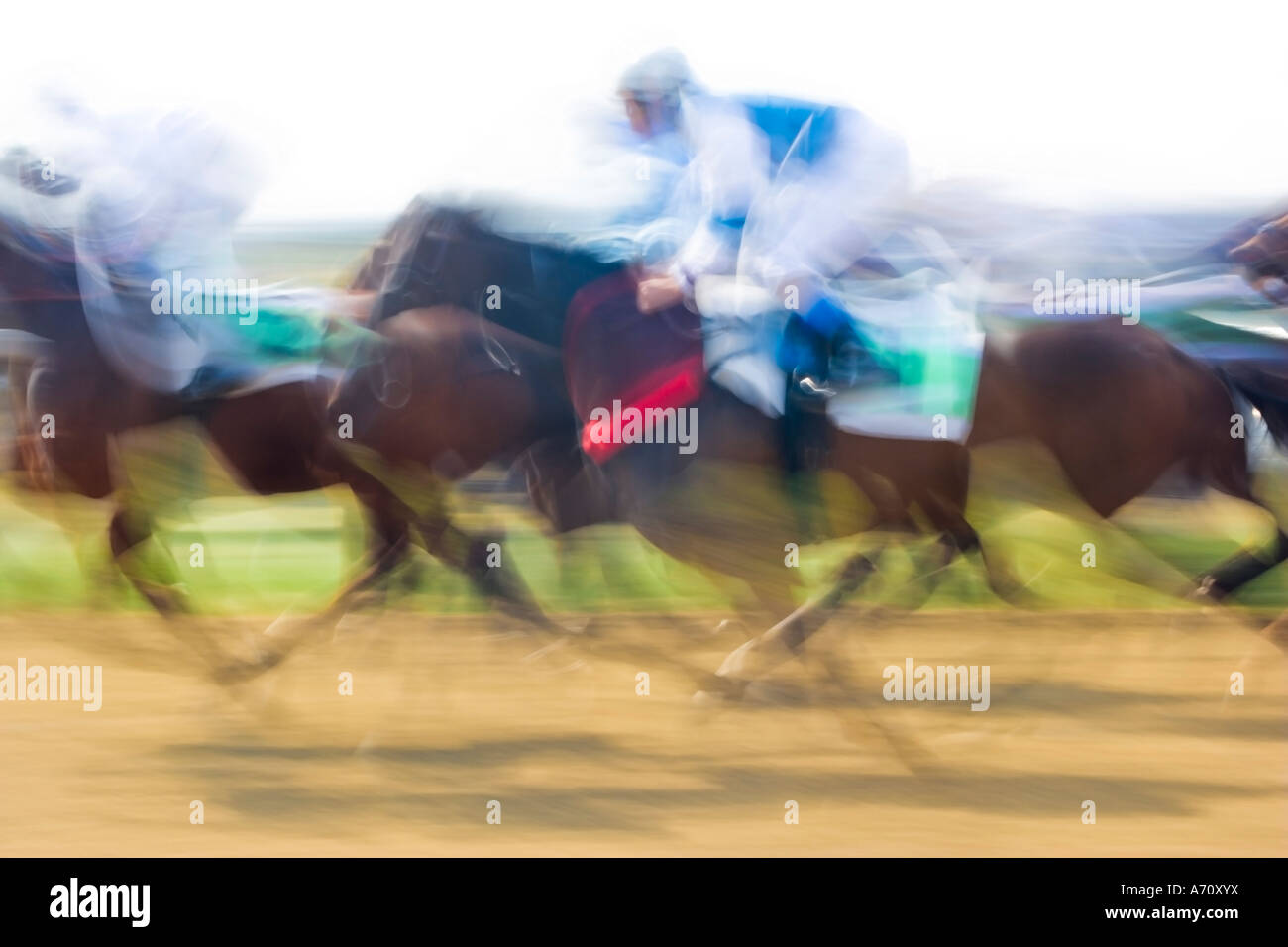 Race horses at speed Stock Photo - Alamy