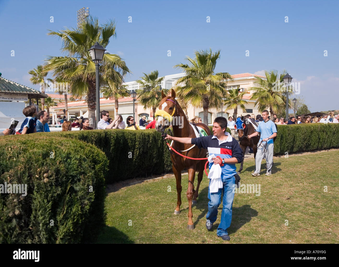 Hippodrome race track hi-res stock photography and images - Alamy