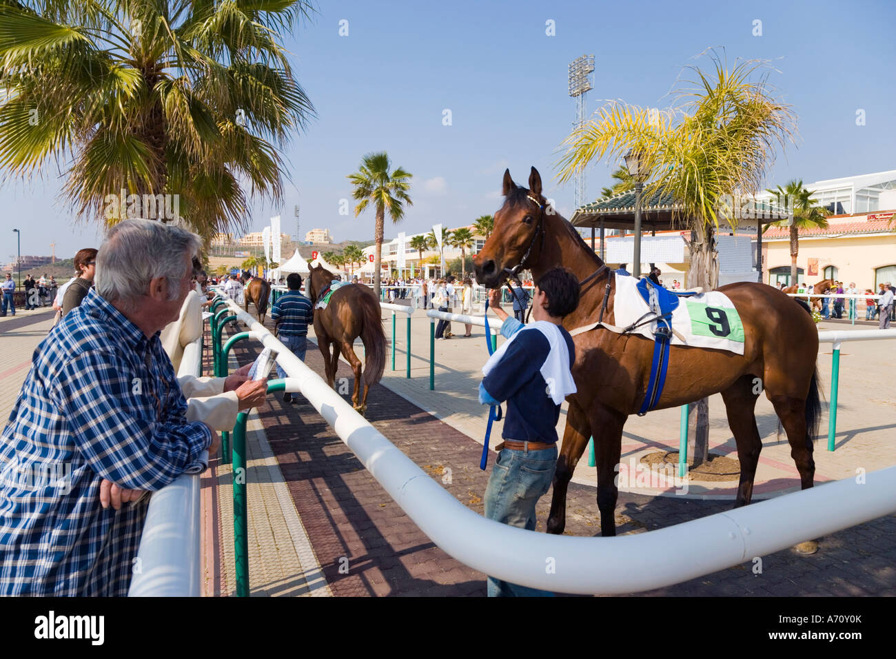 Hippodrome race track hi-res stock photography and images - Alamy