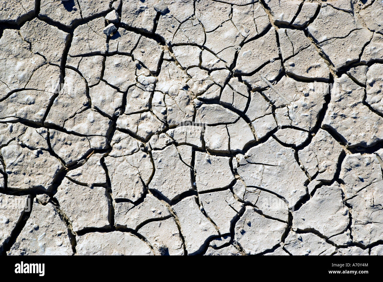 Cracked parched land during drought Stock Photo - Alamy