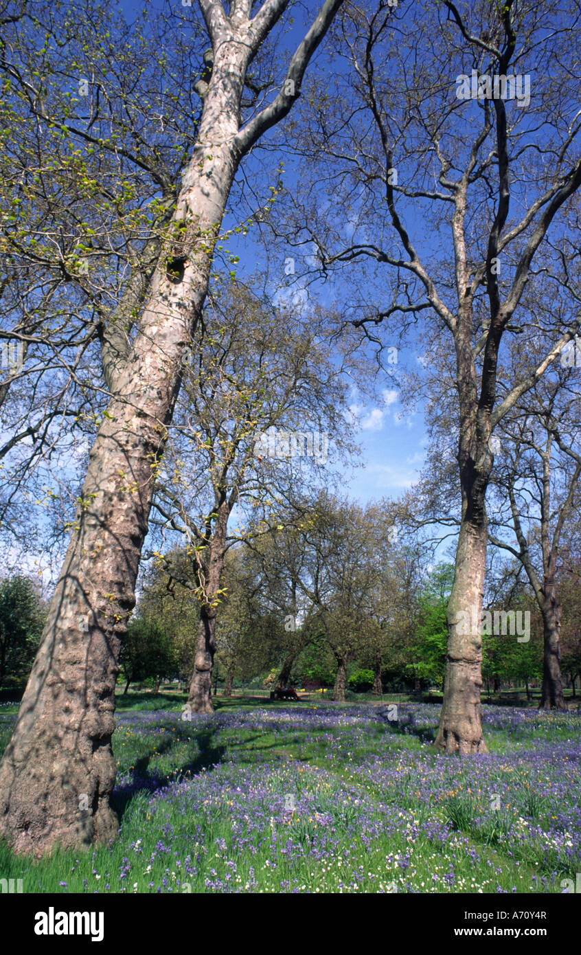 Hayde hi-res stock photography and images - Alamy