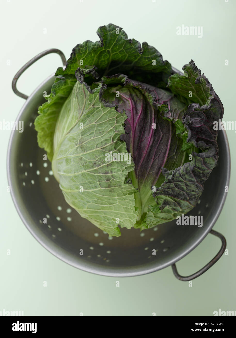 King cabbage hi-res stock photography and images - Alamy