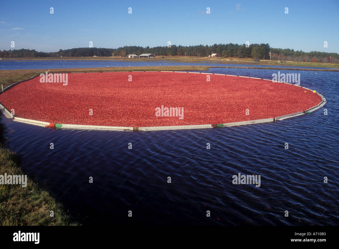 South carver massachusetts hi-res stock photography and images - Alamy