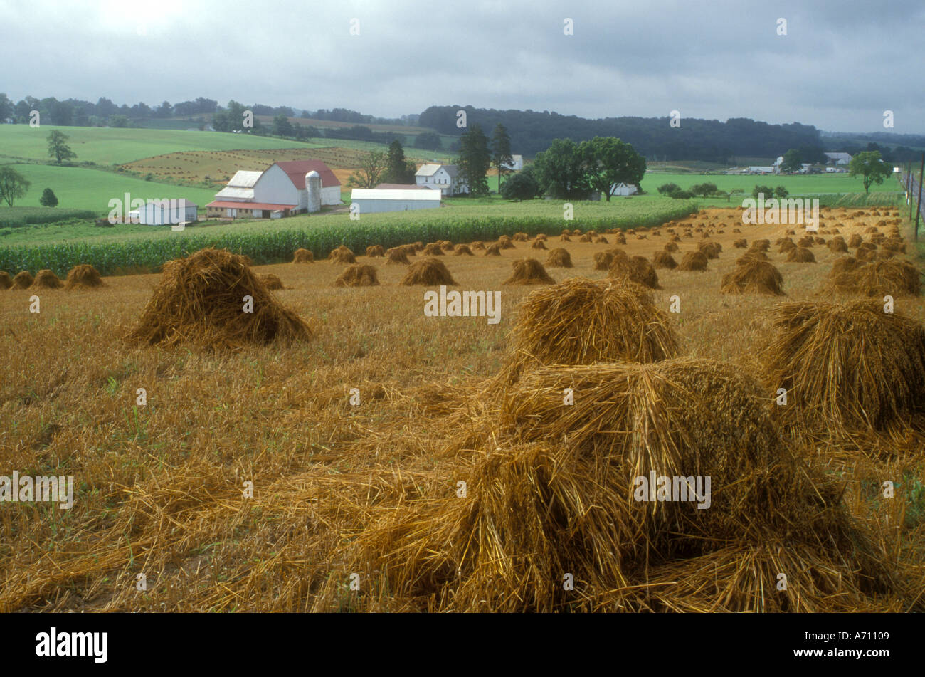 AJ0163, Holmes County, OH, Ohio Stock Photo - Alamy