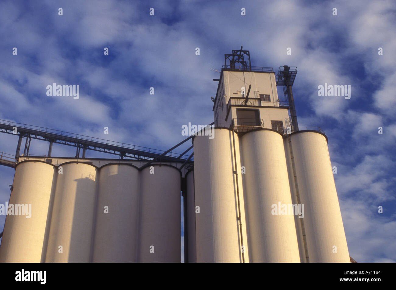 Minden pictures hi-res stock photography and images - Alamy