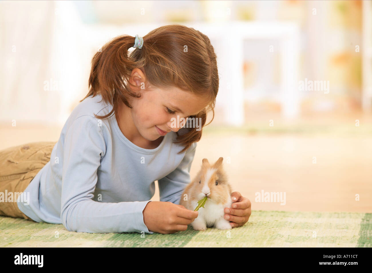 girl with young pygmy rabbit lying on a rug Stock Photo - Alamy