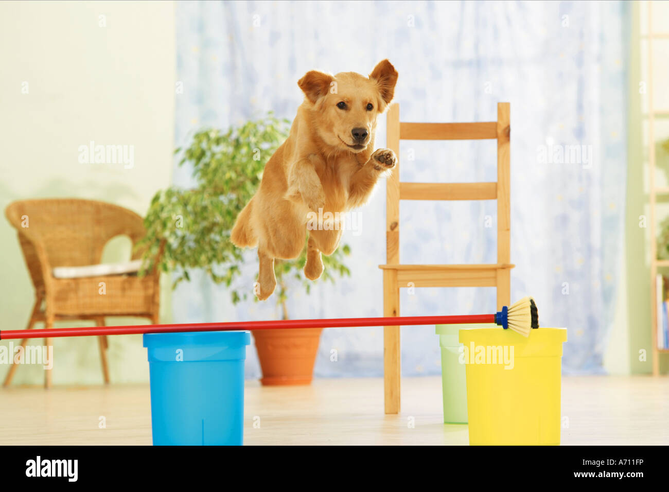 Jumping the broom hi-res stock photography and images - Alamy