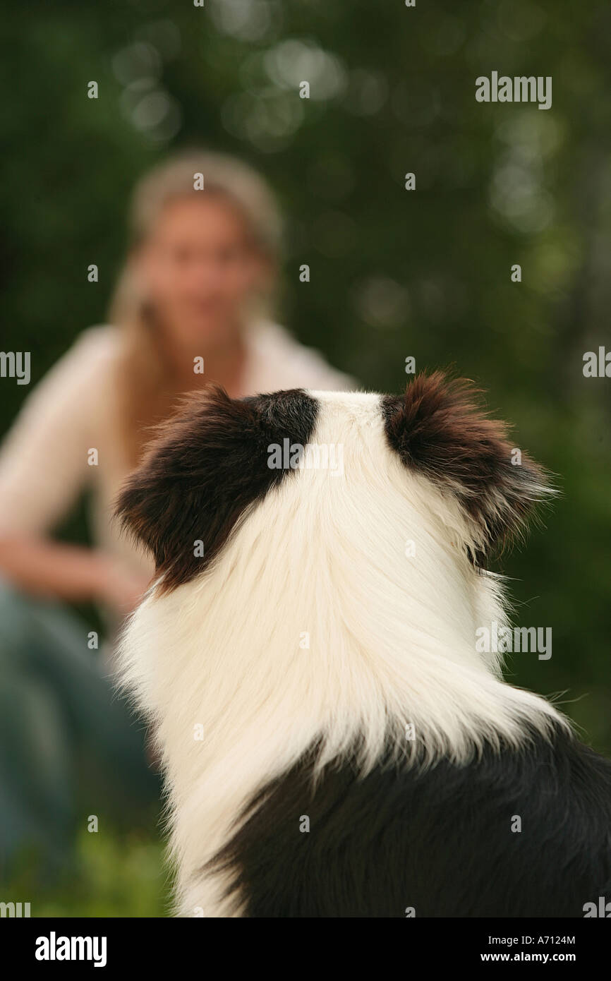 Human dog from behind hi-res stock photography and images - Alamy