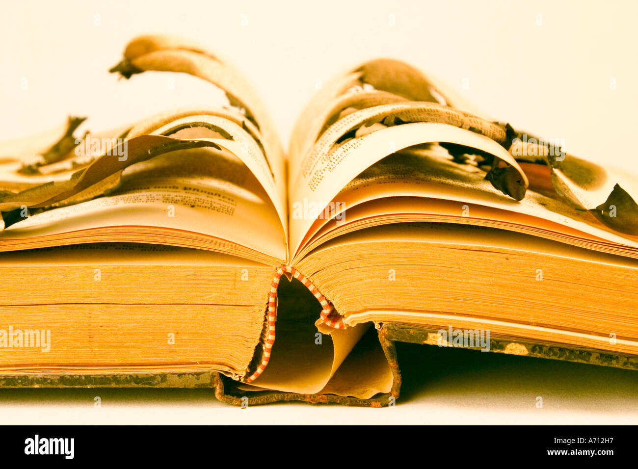 Burning old book Stock Photo - Alamy