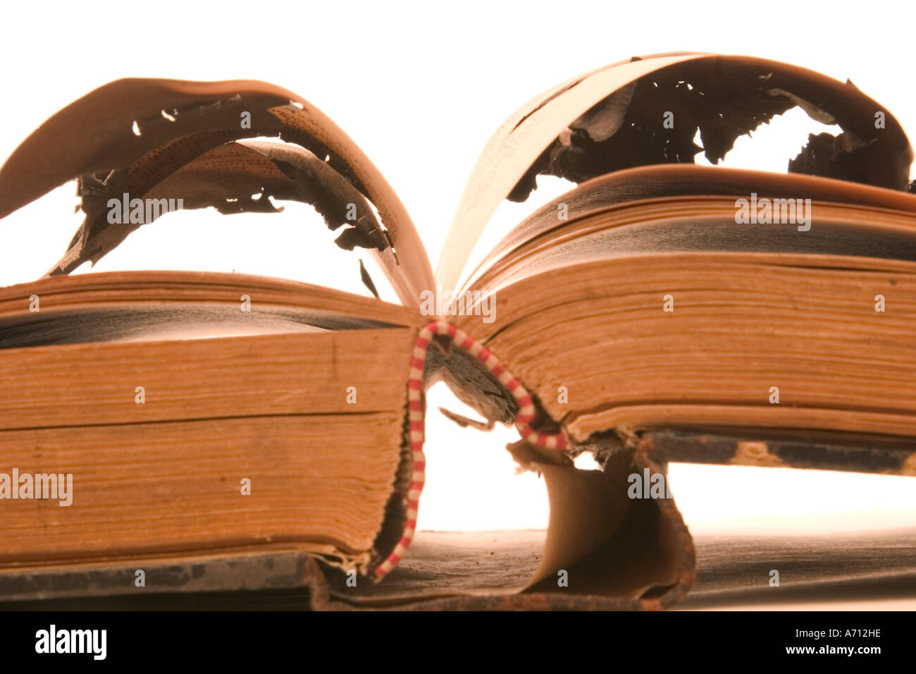 Burning old book Stock Photo - Alamy