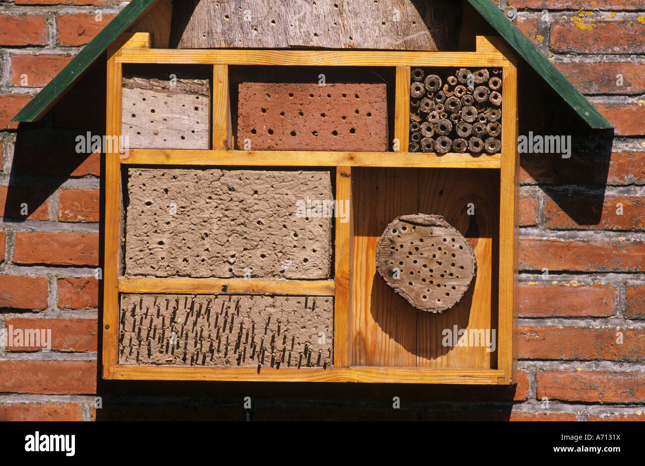nest box for insects Stock Photo - Alamy