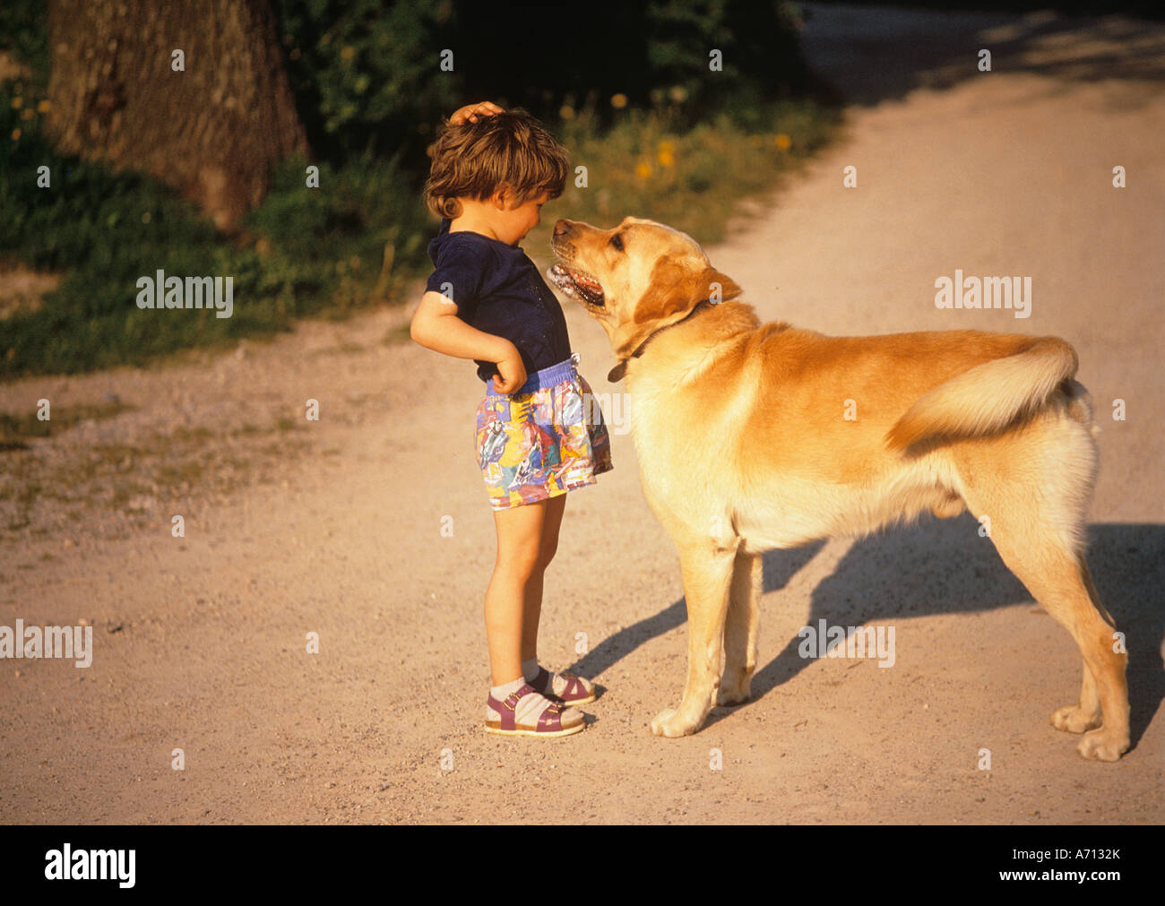 child and half breed dog Stock Photo - Alamy