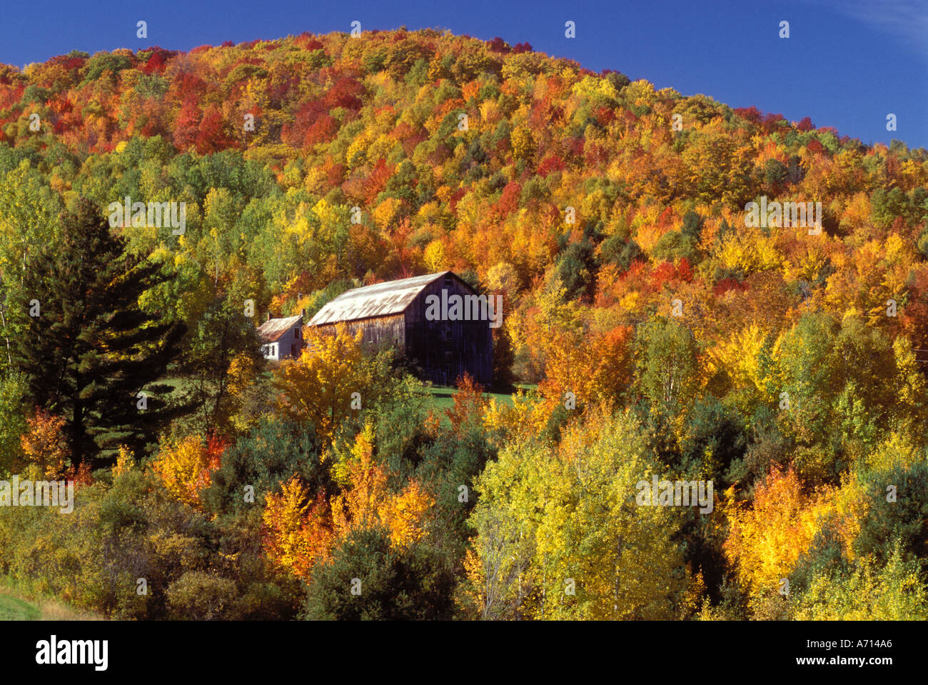 Barn autumn fall vermont vt foliage hi-res stock photography and images ...
