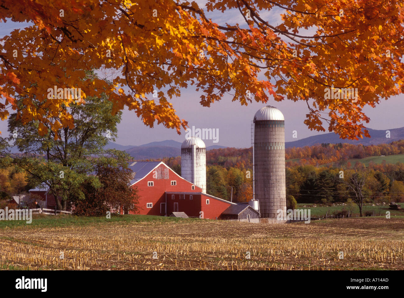 Maple corners vt vermont hi-res stock photography and images - Alamy