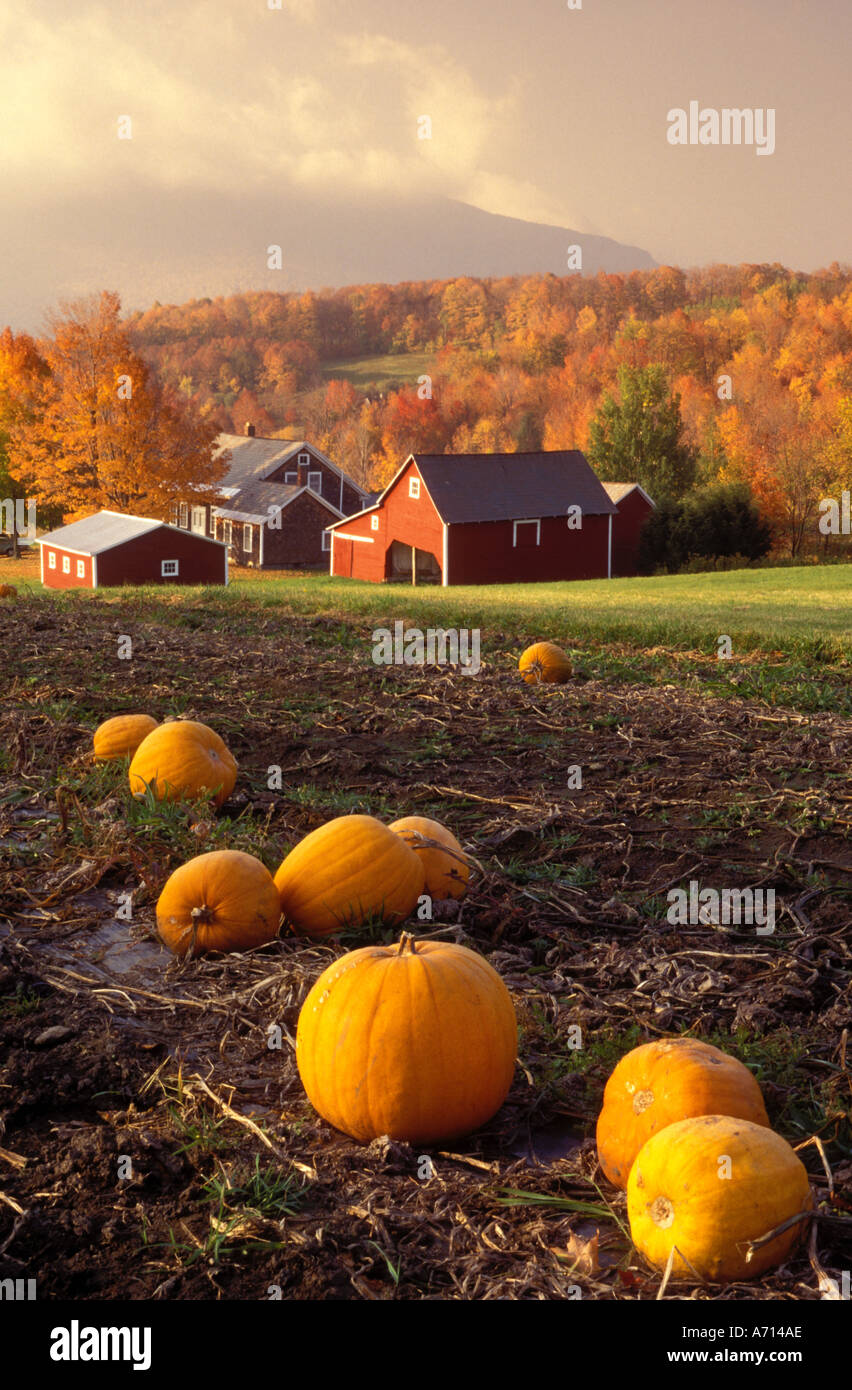 Maple corners vt vermont hi-res stock photography and images - Alamy