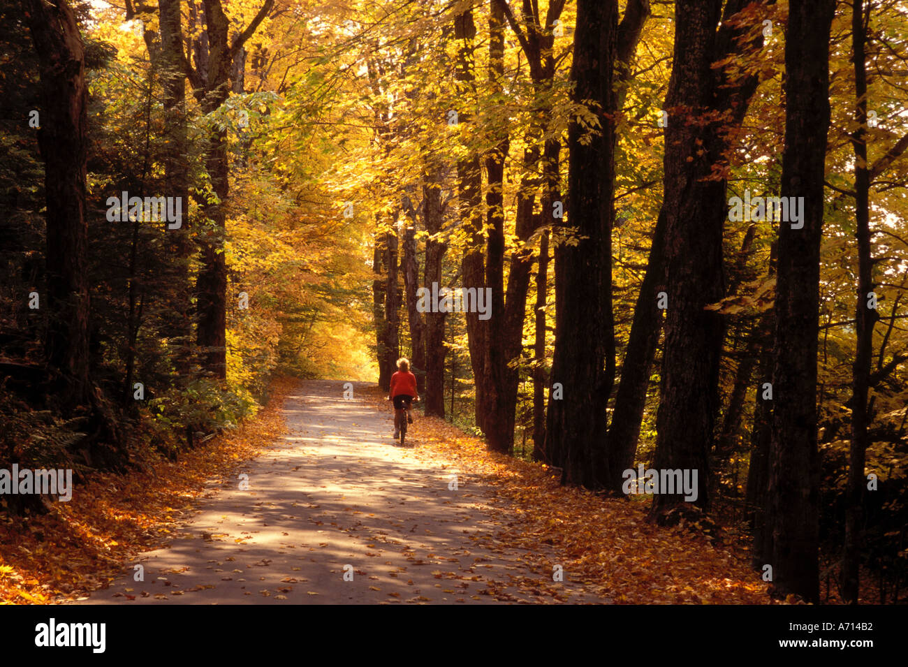 Montpelier vermont biking hi-res stock photography and images - Alamy