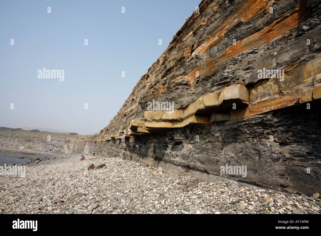 Kimmeridge Jurassic Shale Beds in sea cliff Stock Photo - Alamy
