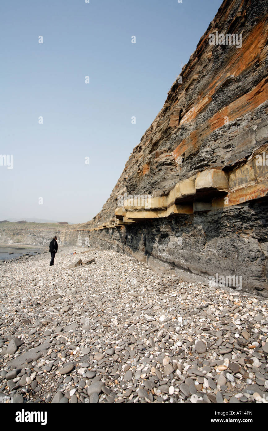 Kimmeridge clay hi-res stock photography and images - Alamy