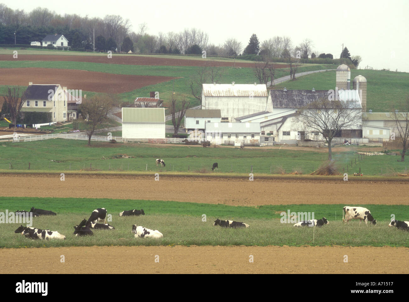 Homestead in pennsylvania hi-res stock photography and images - Alamy