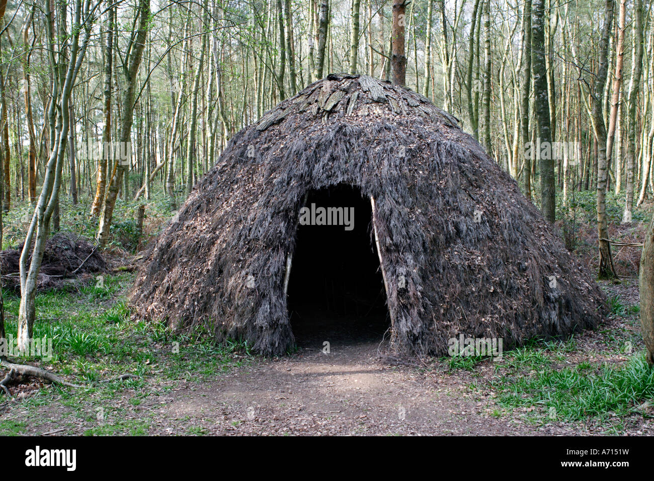 Mesolithic Homes
