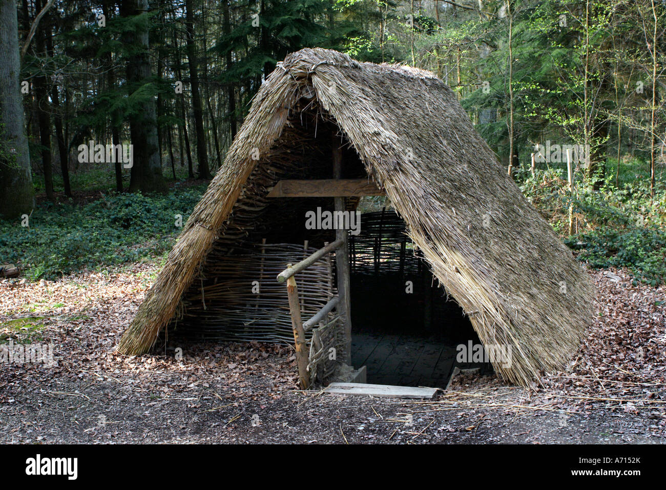 Reconstructed Saxon Thatched Building Stock Photo - Alamy