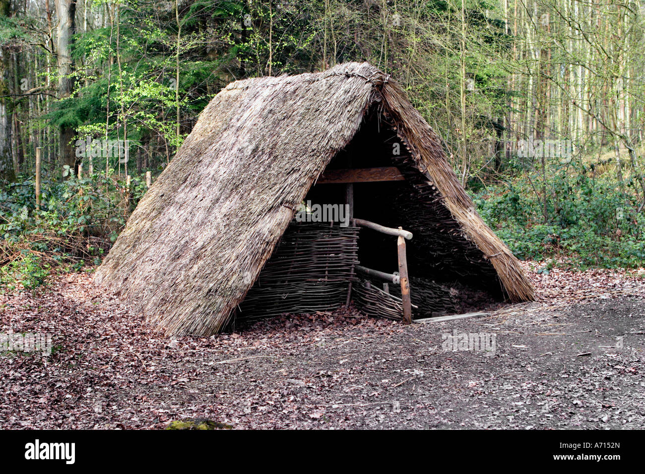 Reconstructed Saxon Thatched Building Stock Photo - Alamy