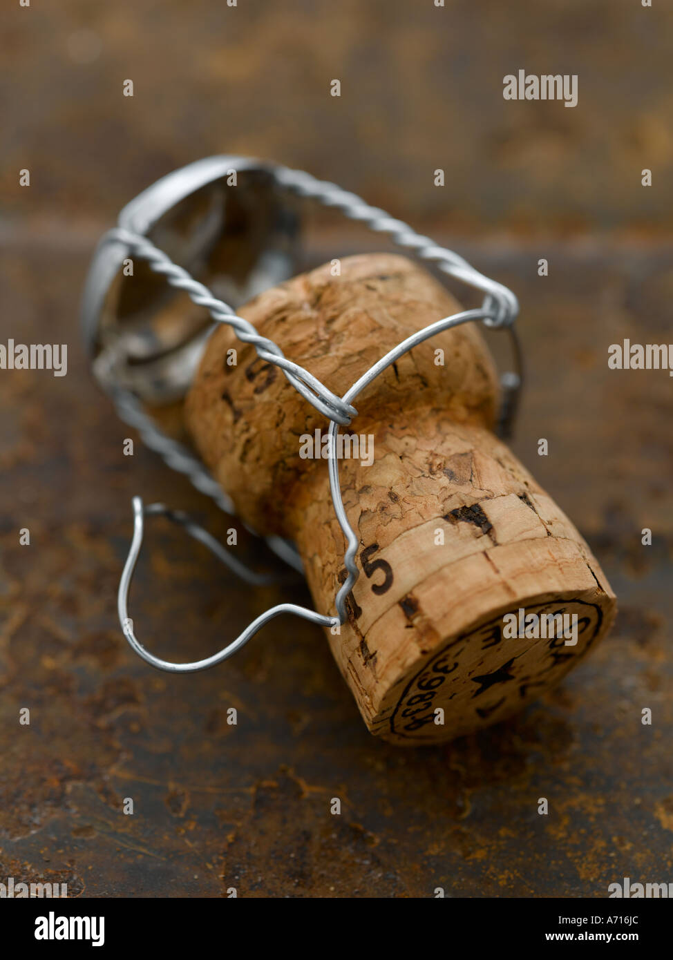 High end hasselblad 61mb digital hi-res stock photography and images ...