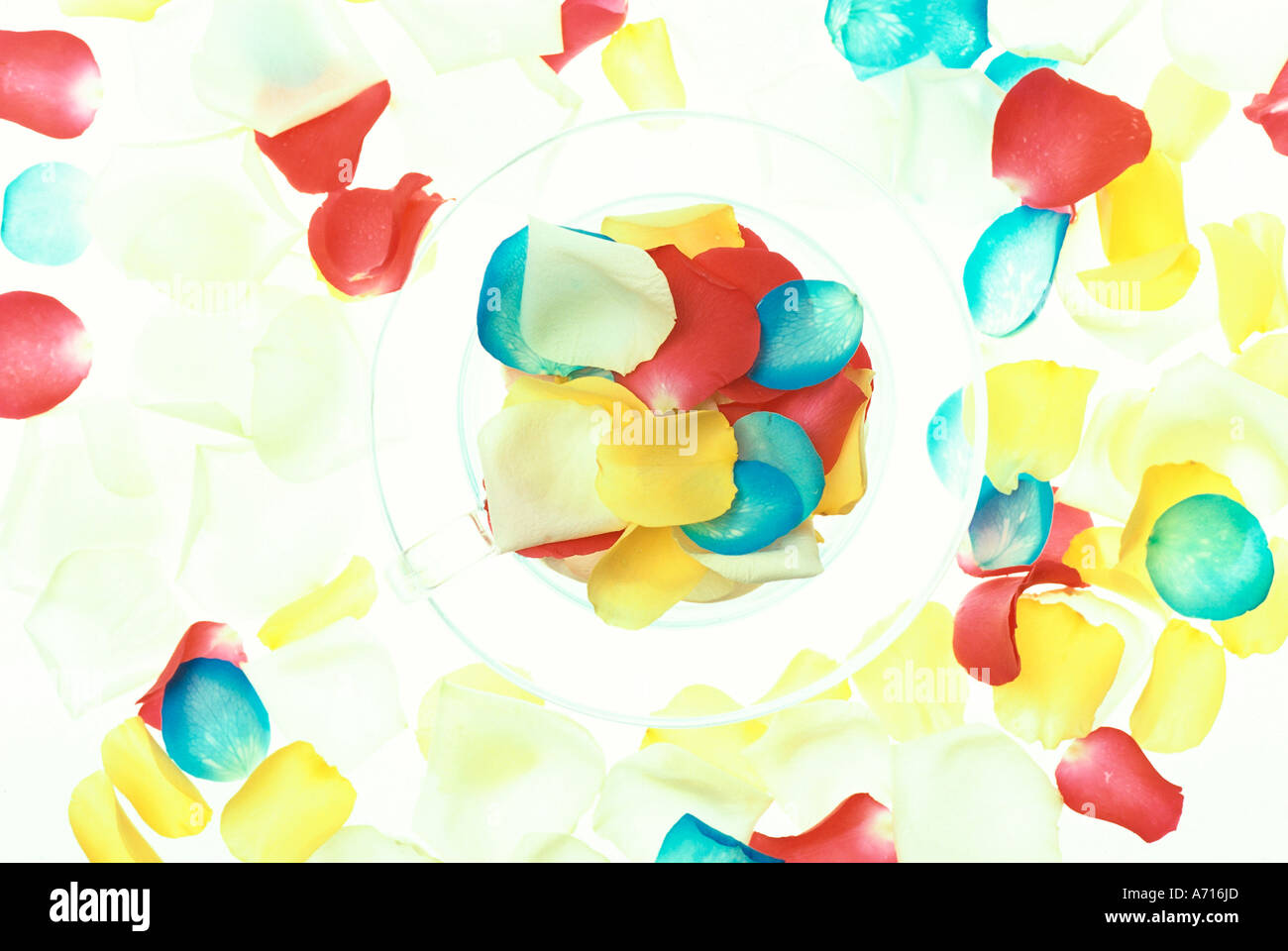 Flower Still Life Stock Photo - Alamy