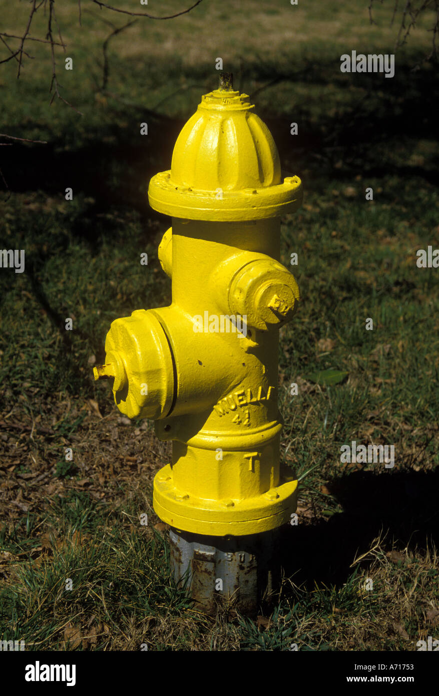 Fire hydrant pictures hi-res stock photography and images - Alamy
