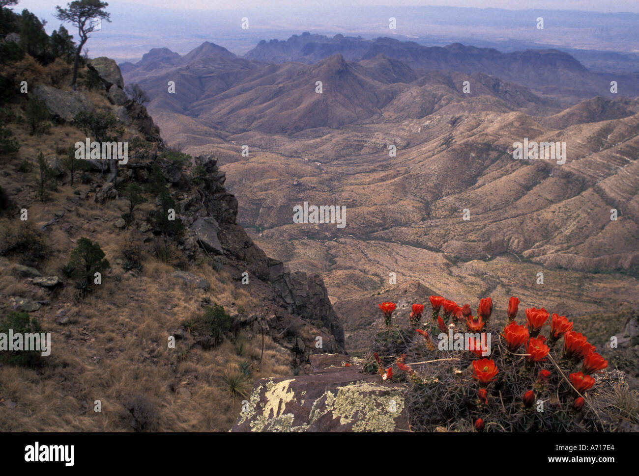 Pictures at red rock state park hi-res stock photography and images - Alamy