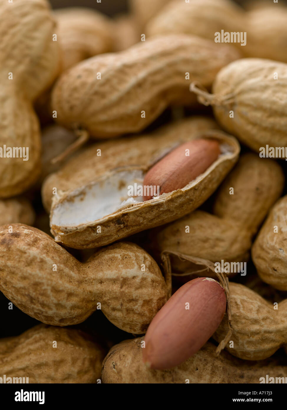 Peanuts - high end Hasselblad 61mb digital image Stock Photo - Alamy