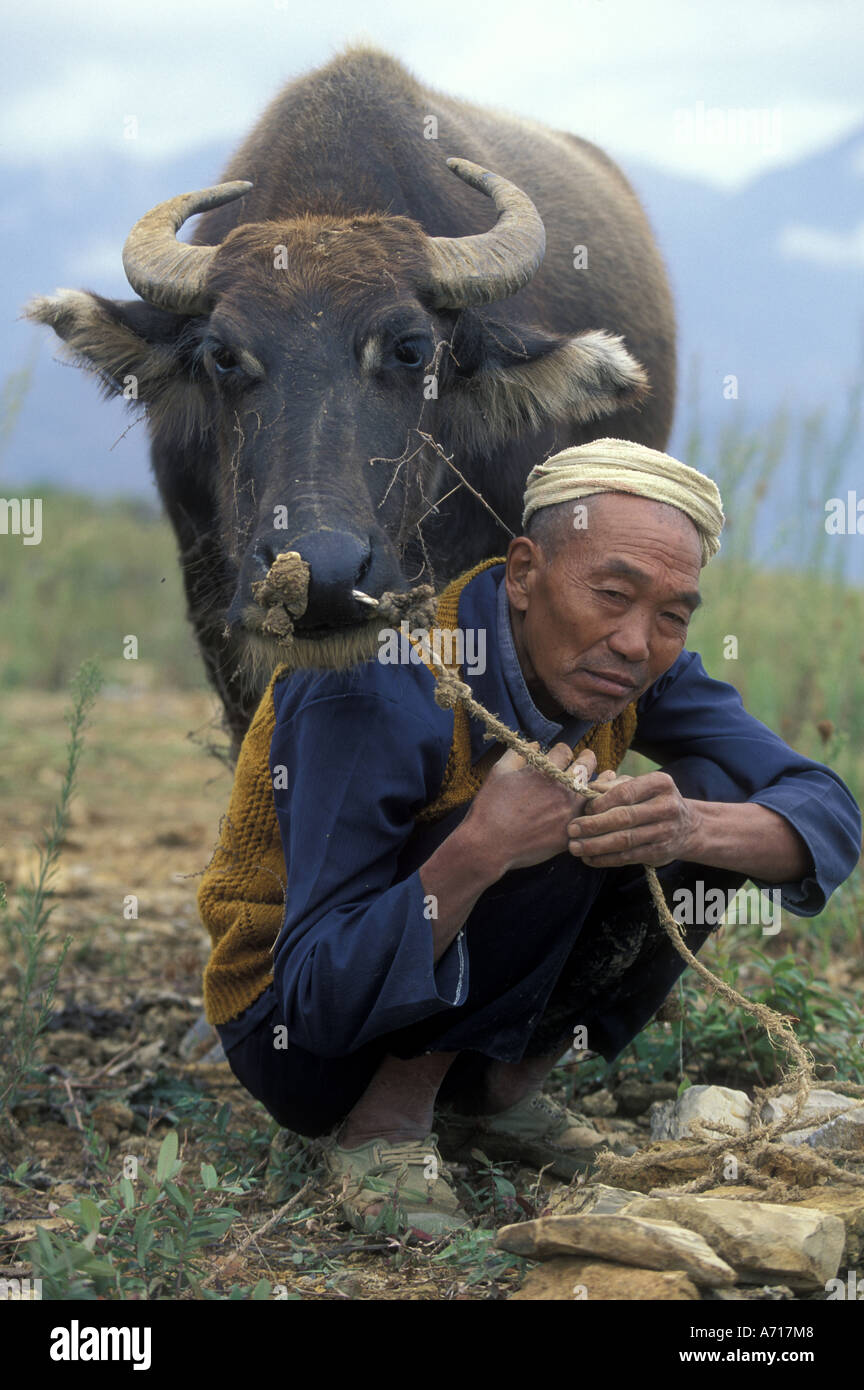 China Sichuan Province Qi Xing MR Farmer Wan Shu Hua with water buffalo ...