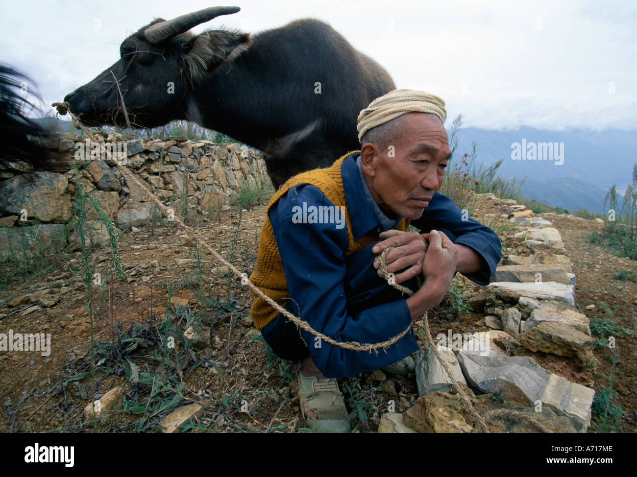 China Sichuan Province Qi Xing MR Farmer Wan Shu Hua with water buffalo ...