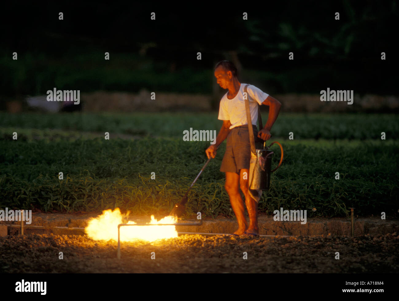 Scorches hi-res stock photography and images - Alamy