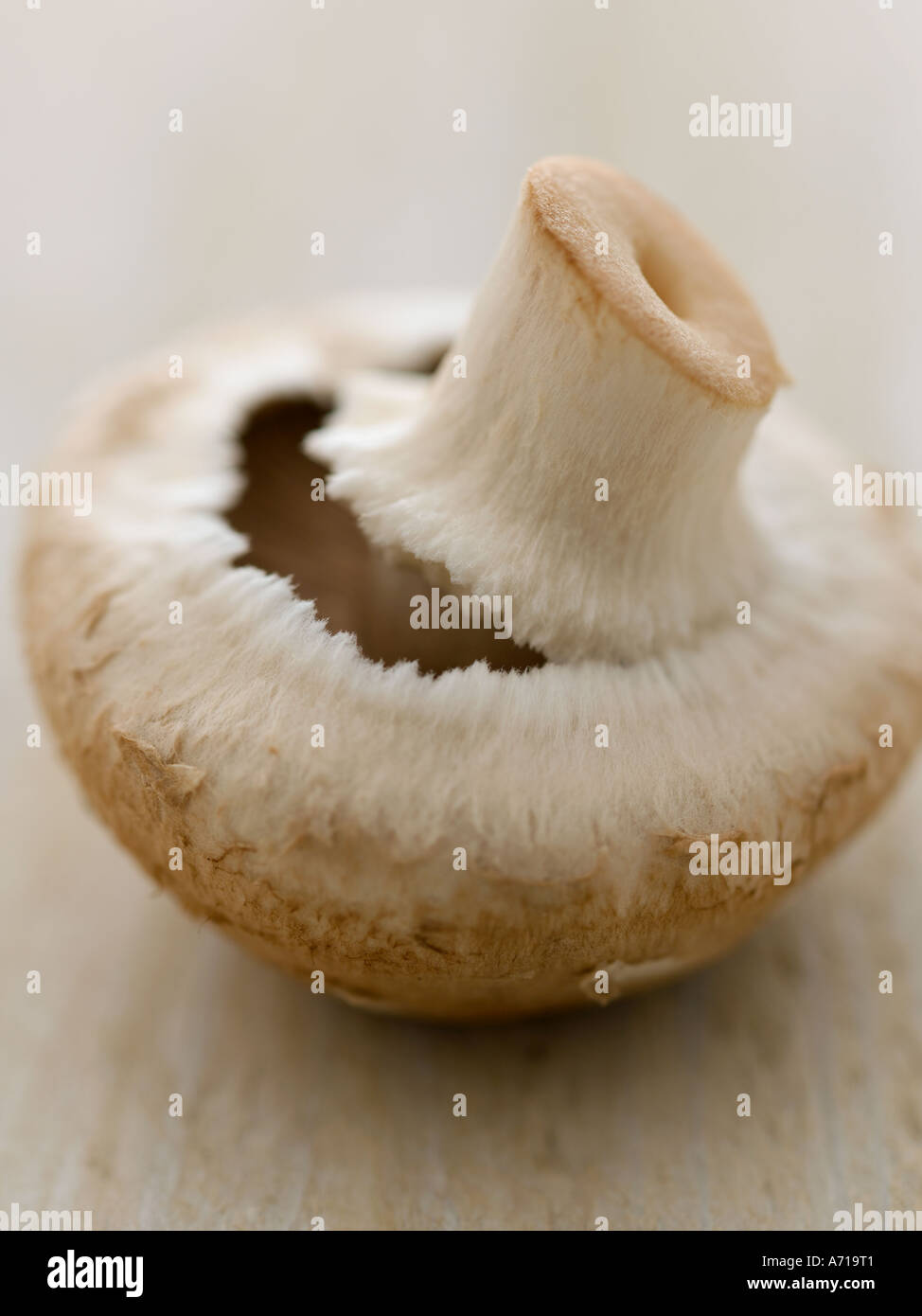 Chestnut mushroom hi-res stock photography and images - Alamy