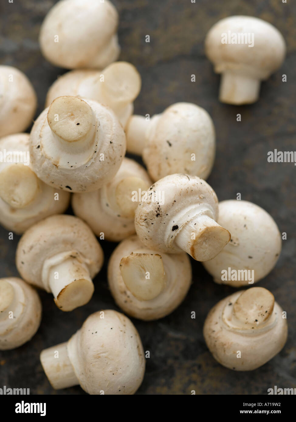 Mushroom closed cup chestnut hi-res stock photography and images - Alamy