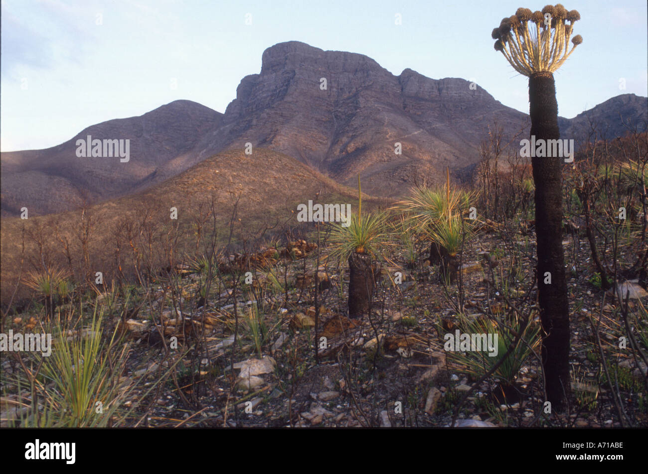 Stirling ranges national park hi-res stock photography and images - Alamy