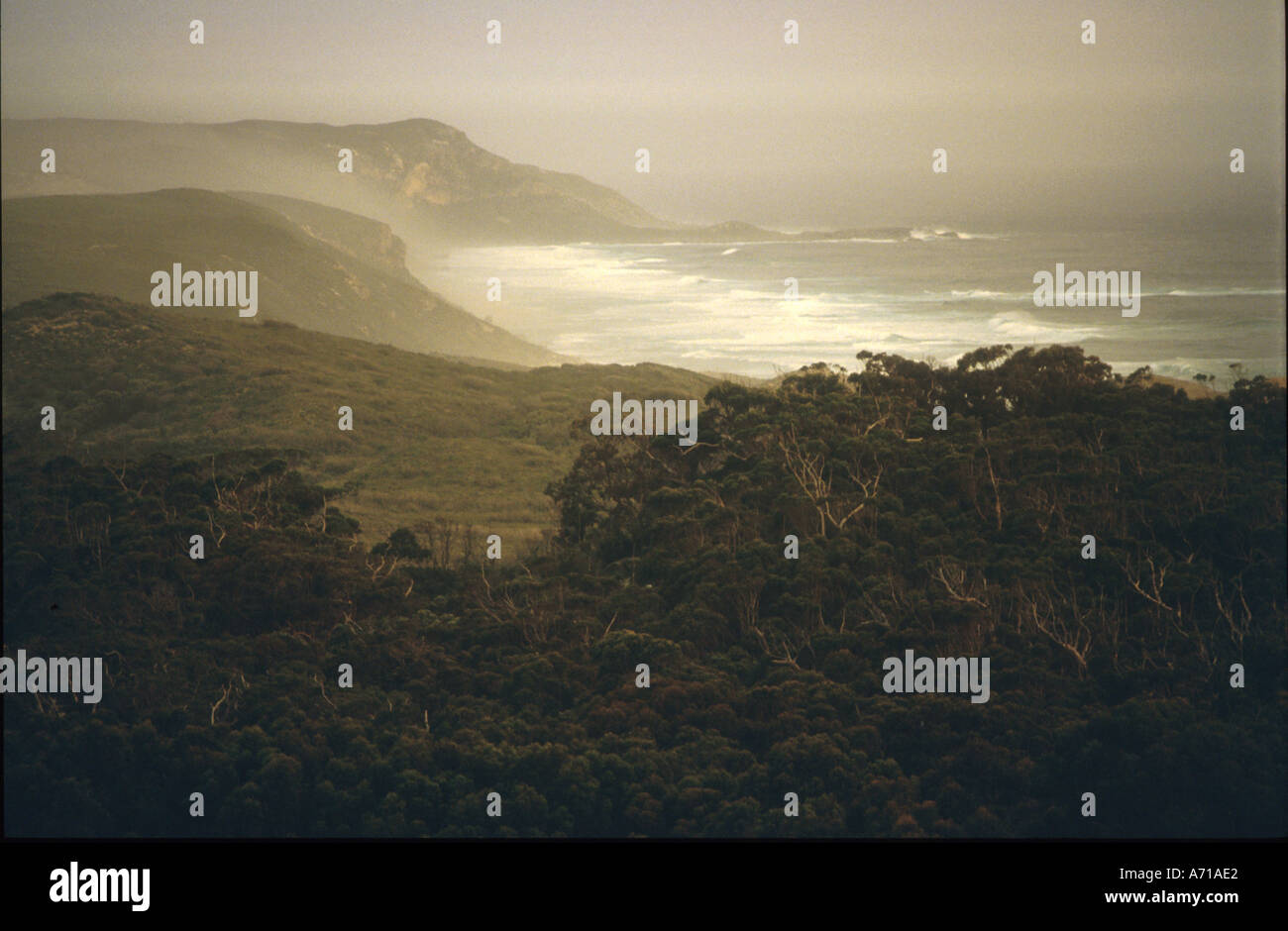 Vast sweeping sand dunes hi-res stock photography and images - Alamy