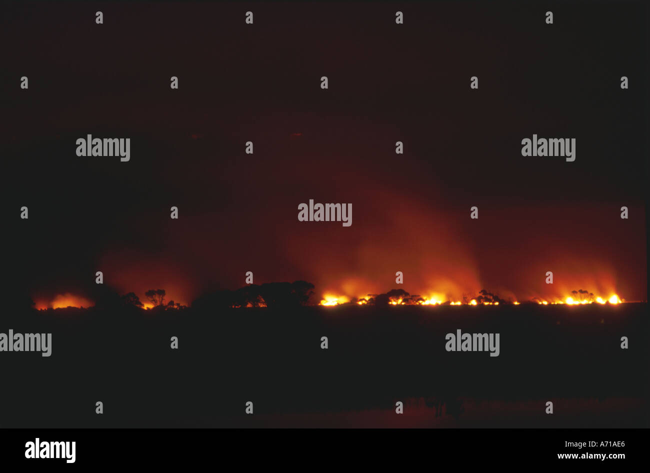 PROFILE OF A BUSHFIRE Stock Photo - Alamy
