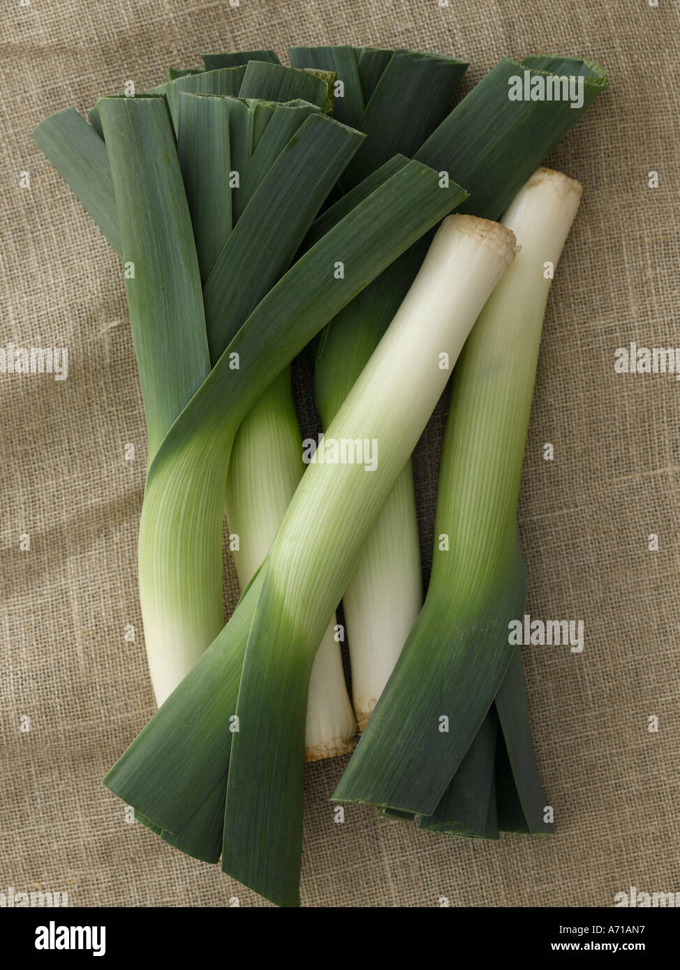 Welsh leeks wales hi-res stock photography and images - Alamy