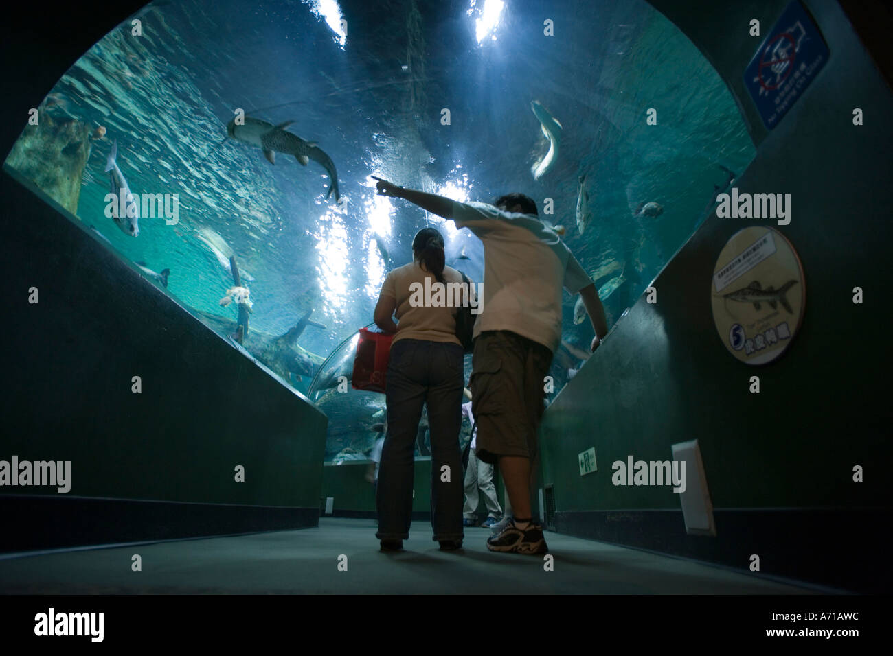Walk through aquarium tunnel underwater hi-res stock photography and ...