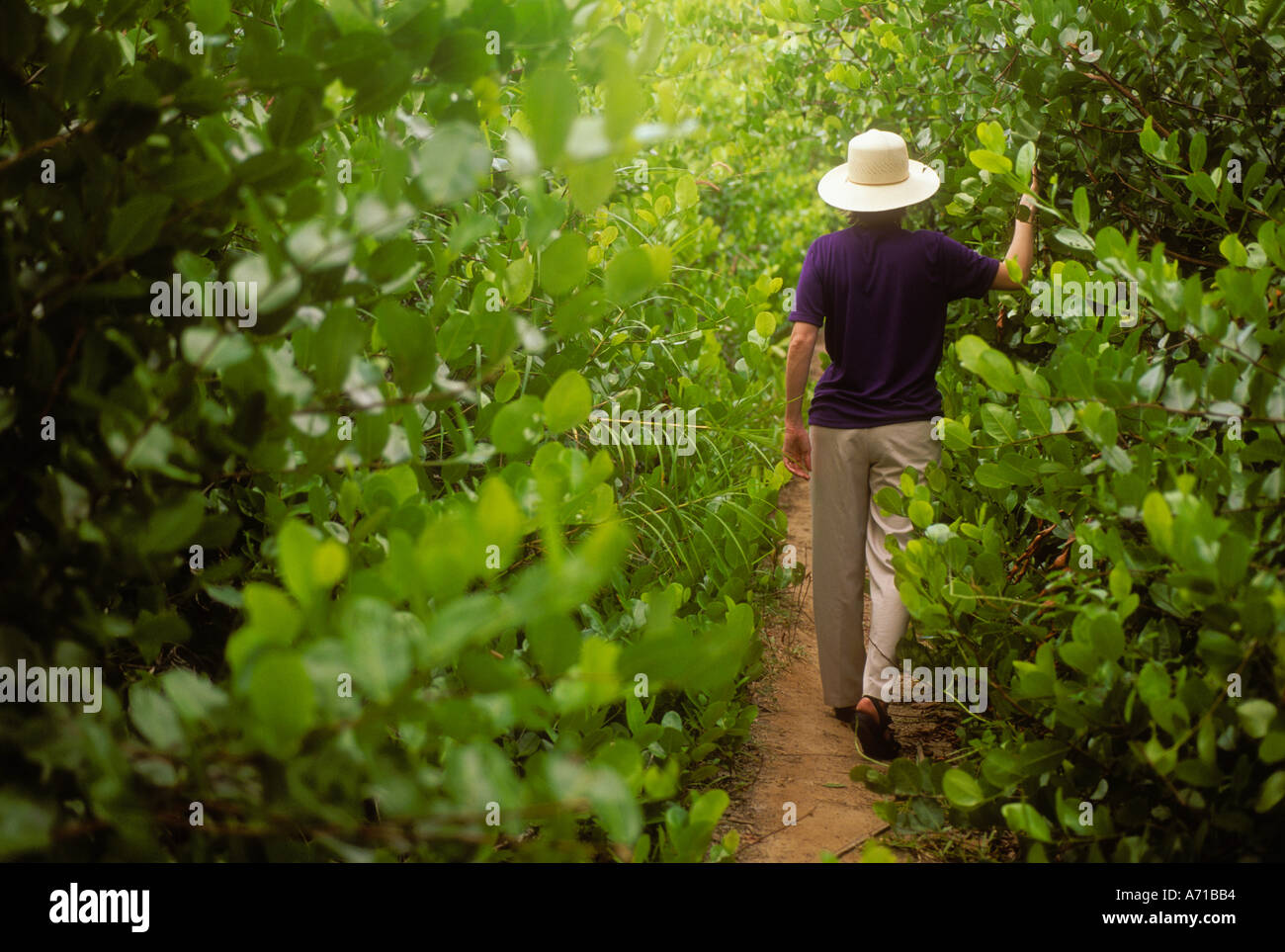 Woman walking alone along narrow hi-res stock photography and images ...