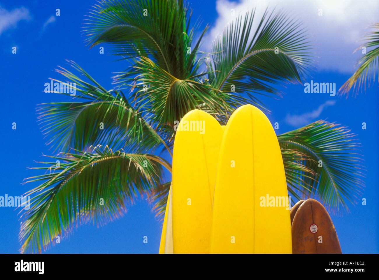 Iconic surfboards hi-res stock photography and images - Alamy