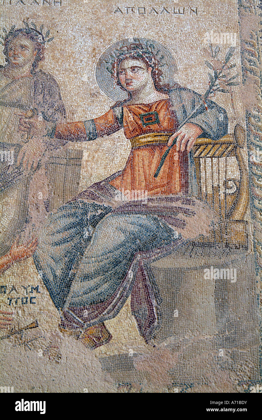 Paphos mosaic pafos roman archeology archeological site excavation ...