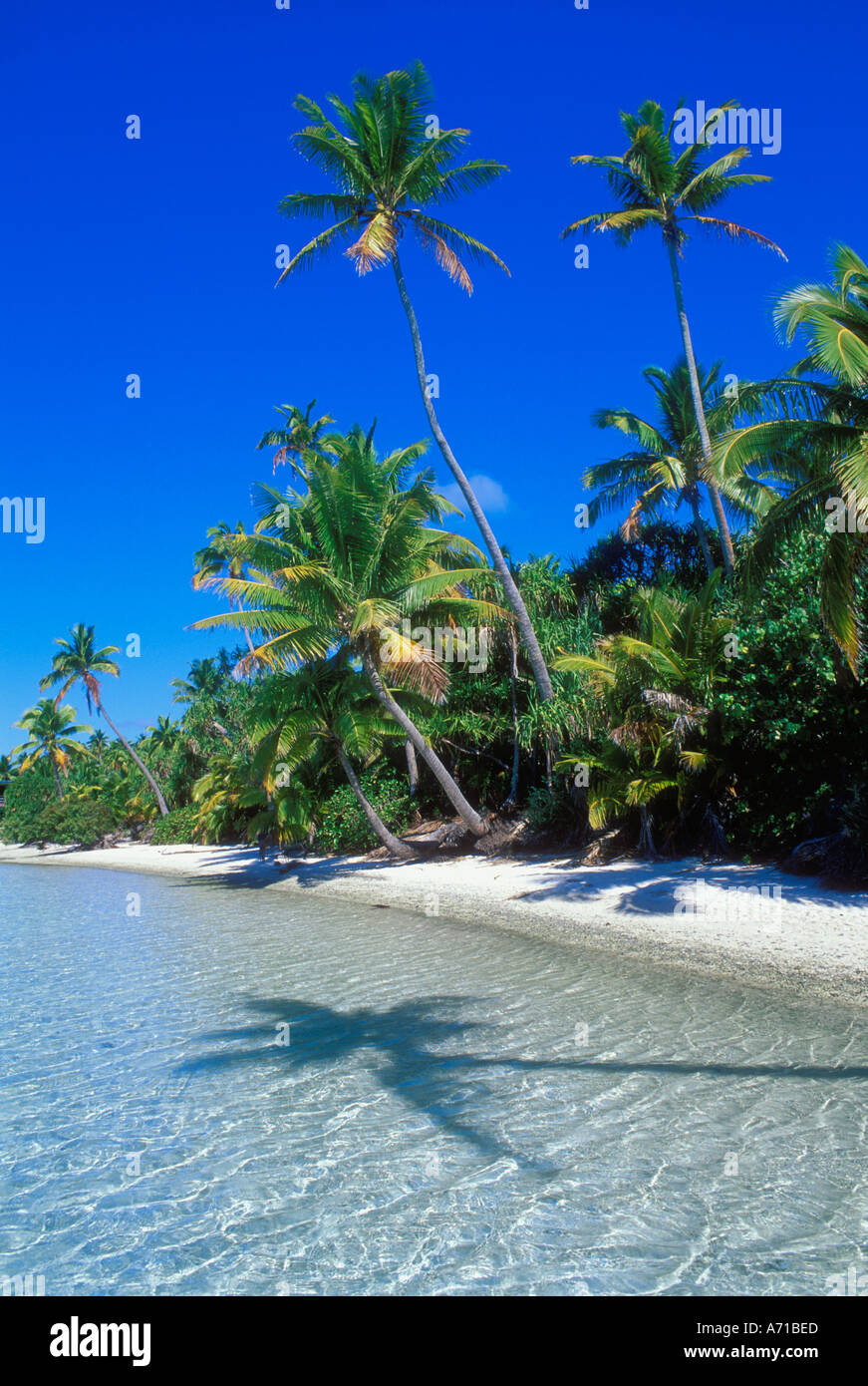 Picture postcard cook islands hi-res stock photography and images - Alamy