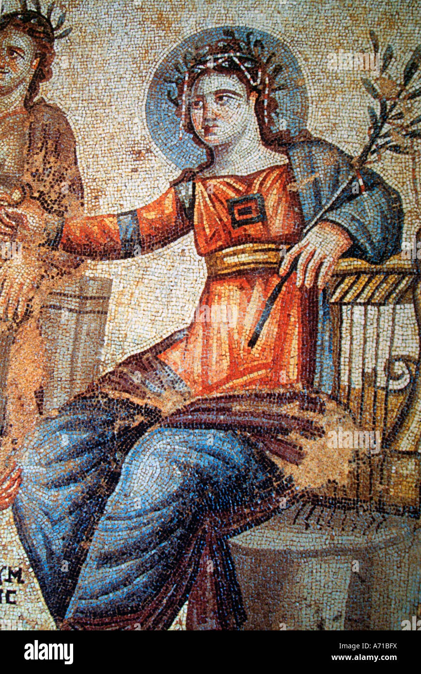 Paphos mosaic pafos roman archeology archeological site excavation ...